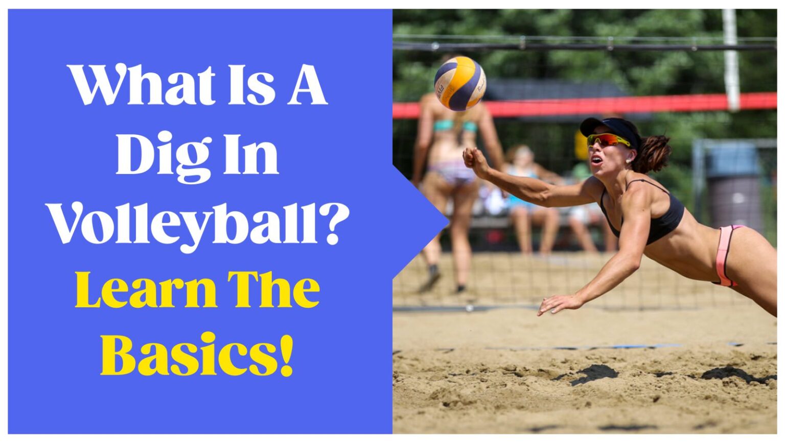 What is DS in Volleyball? A Complete Guide