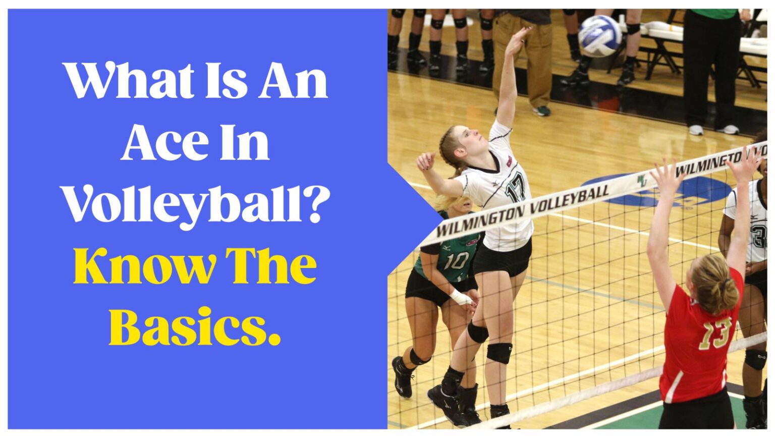 What Is An Ace In Volleyball? Know The Basics